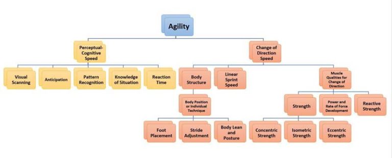 Are Closed Change of Direction Drills Useful for Developing Agility?